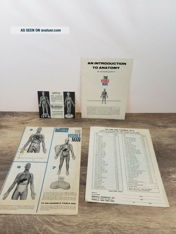 1959 Vintage Renwal The Visible Man Model Kit Anatomy Skeleton Complete ...