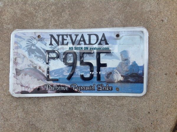 NEVADA - PRESERVE PYRAMID LAKE - LICENSE PLATE | #28388121
