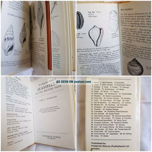 The Observer ' Book Of Seashells Of The British By Nora F. McMILLAN ...