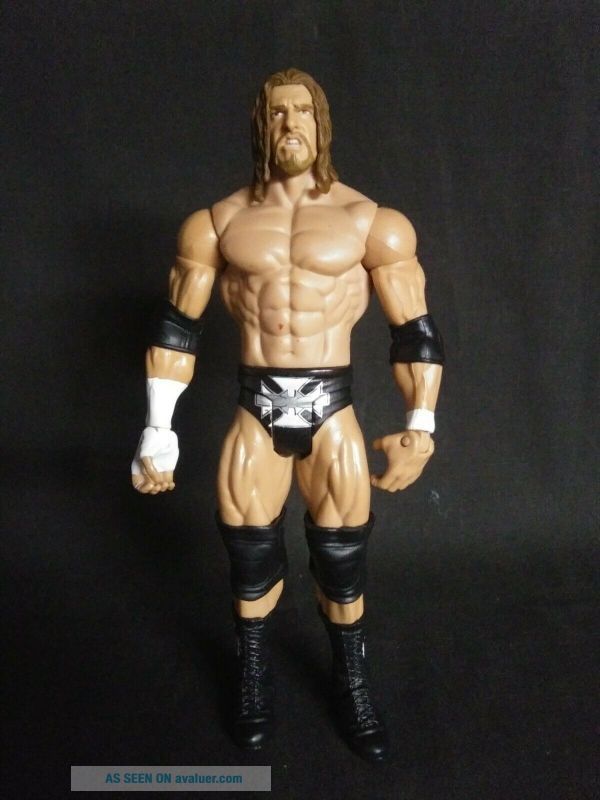 WWE Mattel Basic Series Triple H Wrestling RARE Long Hair DX HHH NXT ...