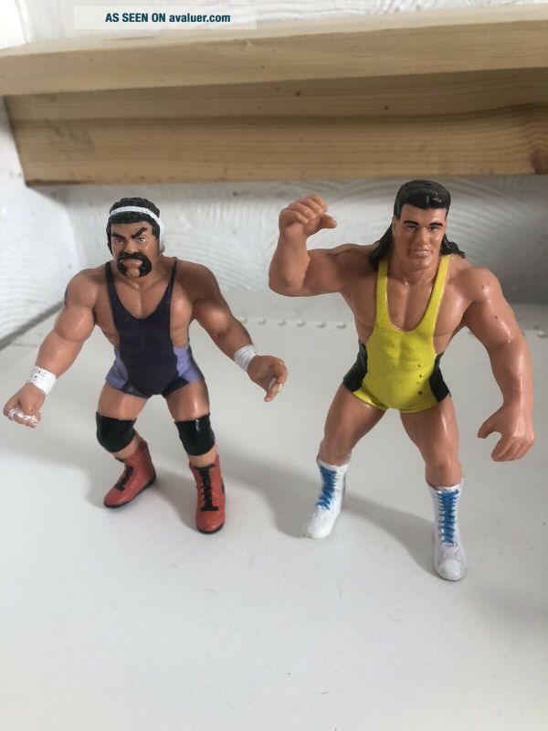 WCW The Steiner Brothers (rick And Scott) Action Figure | #40749563
