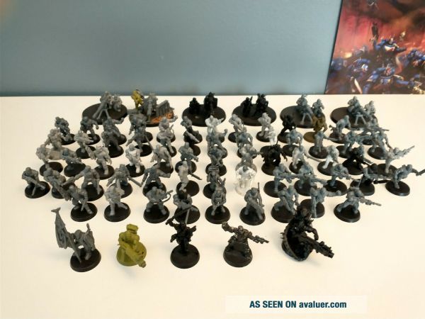 Warhammer 40k Imperial Guard Catachan Army - Astra Militarum | #41718514