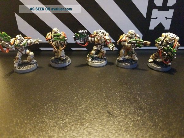 Warhammer 40k Pro Painted Space Marine Sternguard Veteran Squad Metal ...