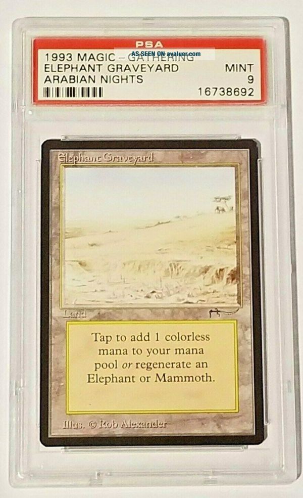1993 Magic The Gathering MTG Arabian Nights Elephant Graveyard PSA 9 ...