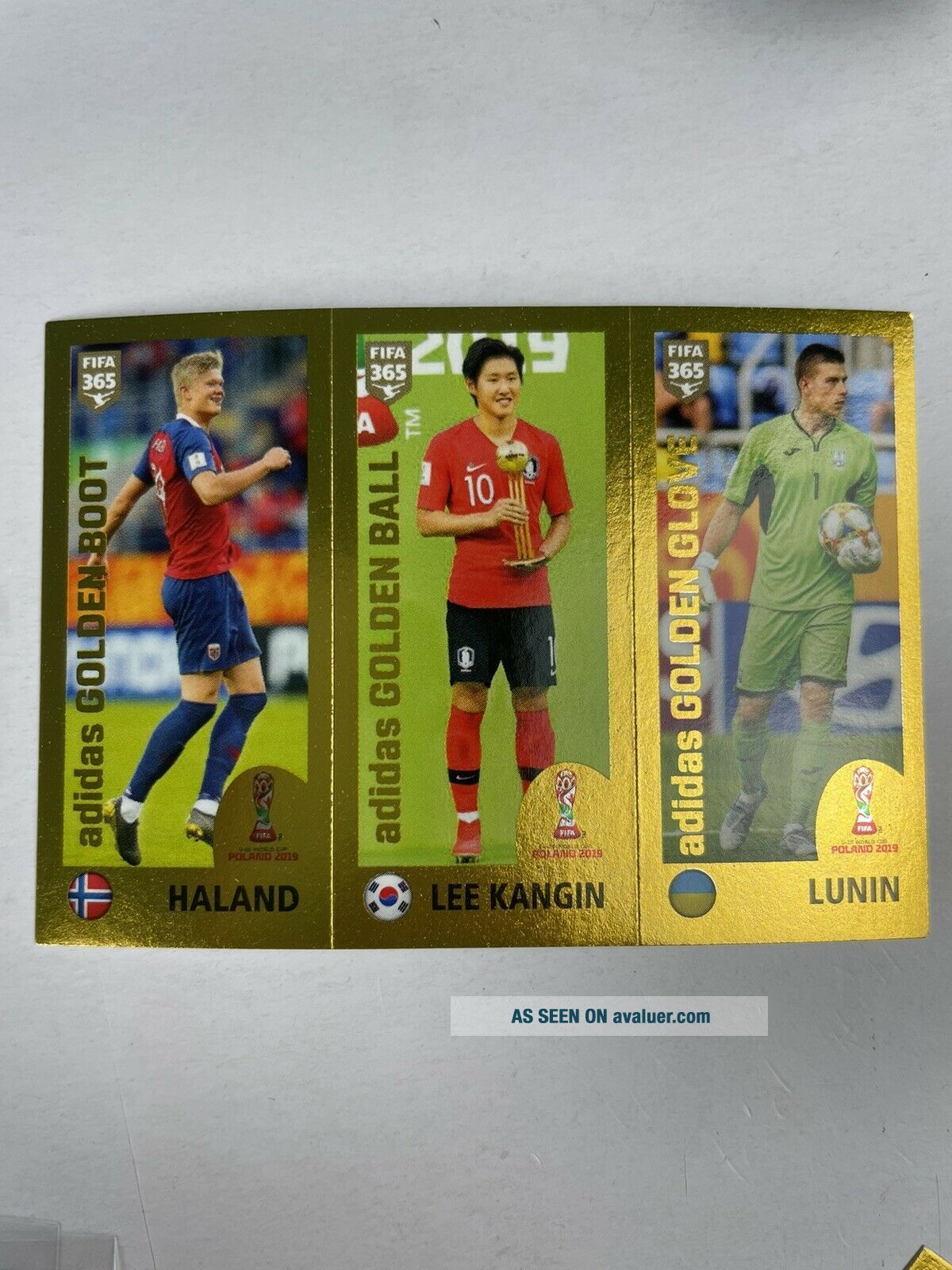 (READ) Erling Haaland Rookie Sticker 2019 - 2020 Panini FIFA 365 (PINK ...