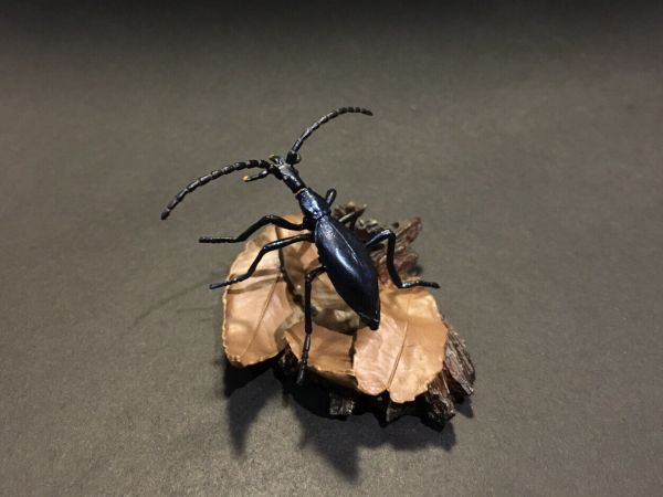 Rare Yujin Kaiyodo Japanese Ground Beetle Insect PVC Figure Model ...