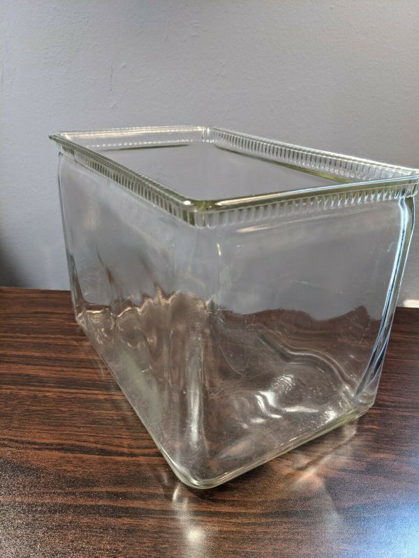 Vintage Glass Aquarium Small Fish Tank Terrarium Wet Battery Jar Case ...