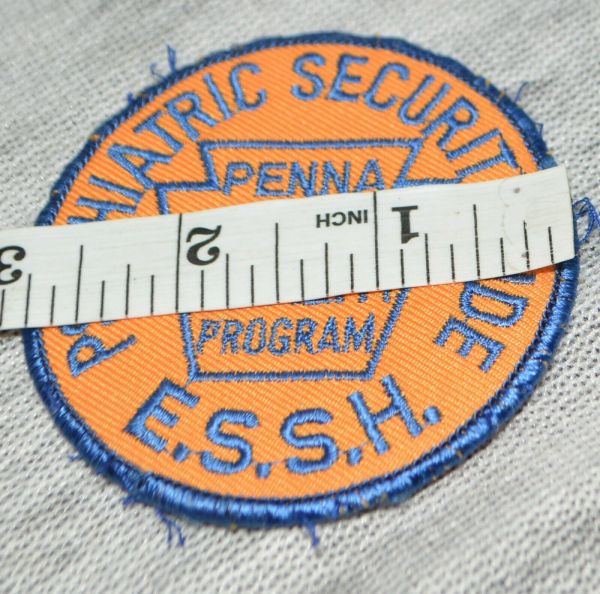 Psychiatric Security Aide Penna Mental Health Patch State Shield ...