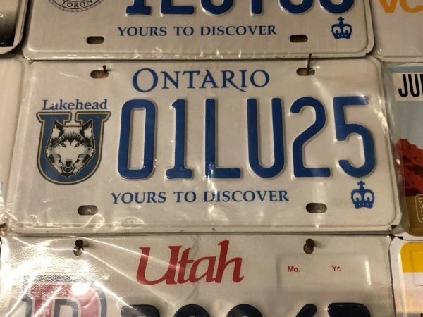 LAKEHEAD UNIVERSITY THUNDERWOLVES EXPIRED ONTARIO CANADA GRAPHIC ...