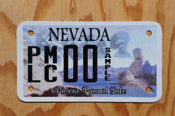 2010 Nevada PRESERVE PYRAMID LAKE MOTORCYCLE License Plate | #52620785