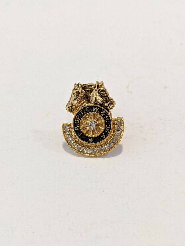 Vintage International Brotherhood Of Teamsters Gold Tone With ...
