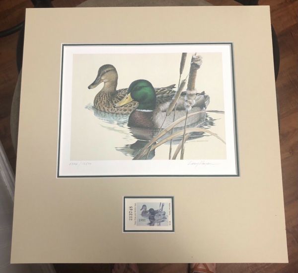 1981 Texas Duck Stamp & Print Larry Hayden | #54463324