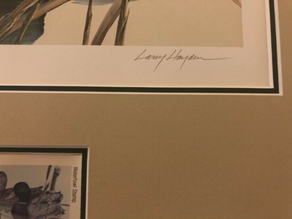 1981 Texas Duck Stamp & Print Larry Hayden | #54463324