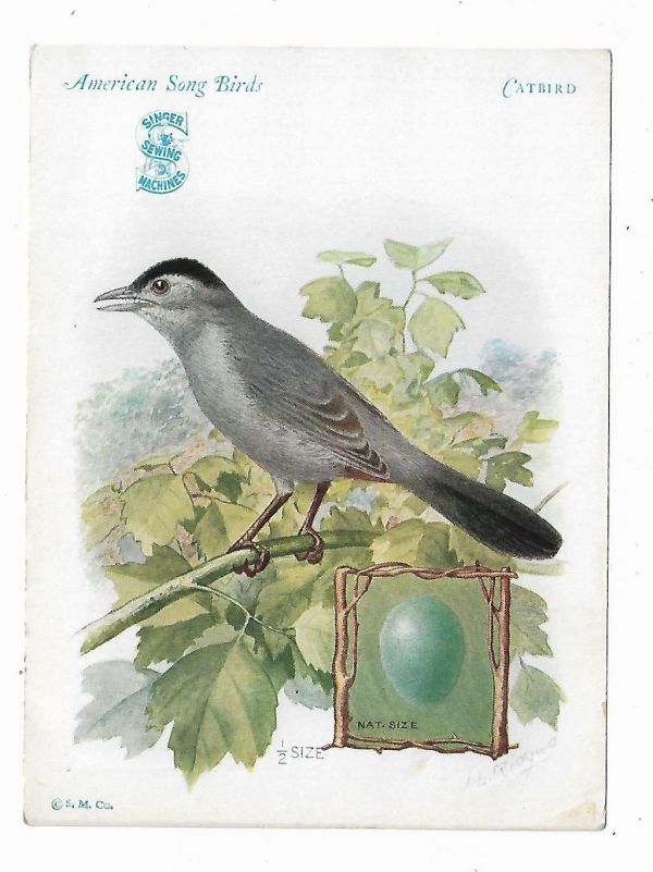 Old Trade Card Singer Sewing Machine American Song Birds Catbird ...
