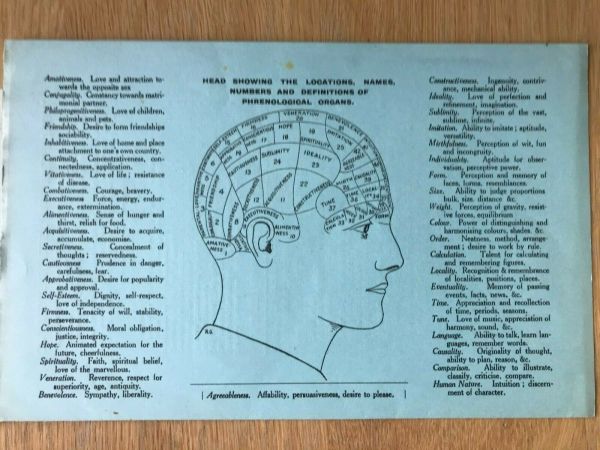 Phrenological And Physiological Chart, Life Story And Experiences ...